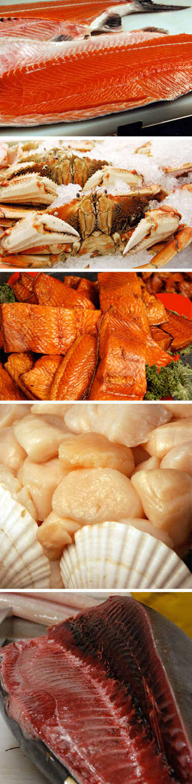 PRODUCTS – Northern Fish