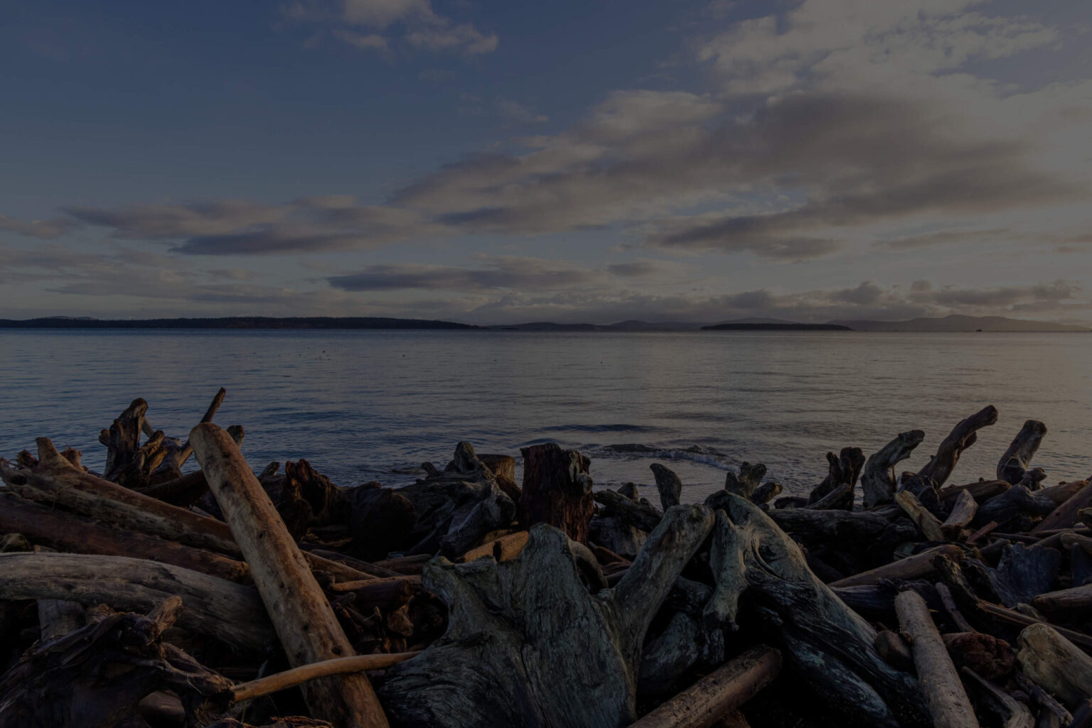 RETAIL – Northern Fish